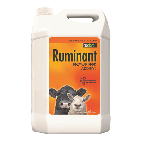 Biostart New Zealand | Ruminant