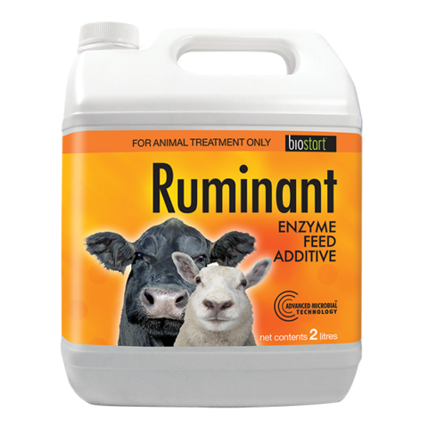 Biostart New Zealand | Ruminant