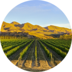 Biostart New Zealand